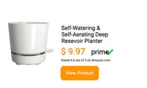 Perfect Size Of Drainage Holes In Planters (Guide To Prepare Your Pots ...