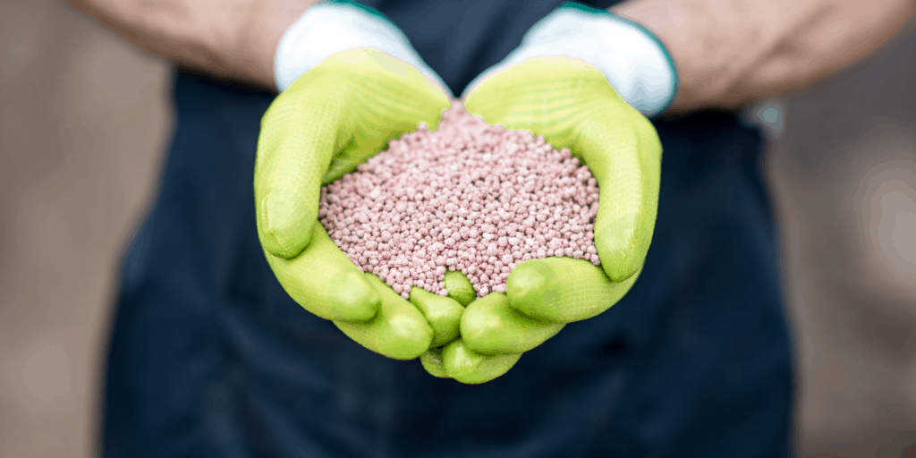 4 Best Organic Fertilizer Picks on Amazon to Feed Your Plants!